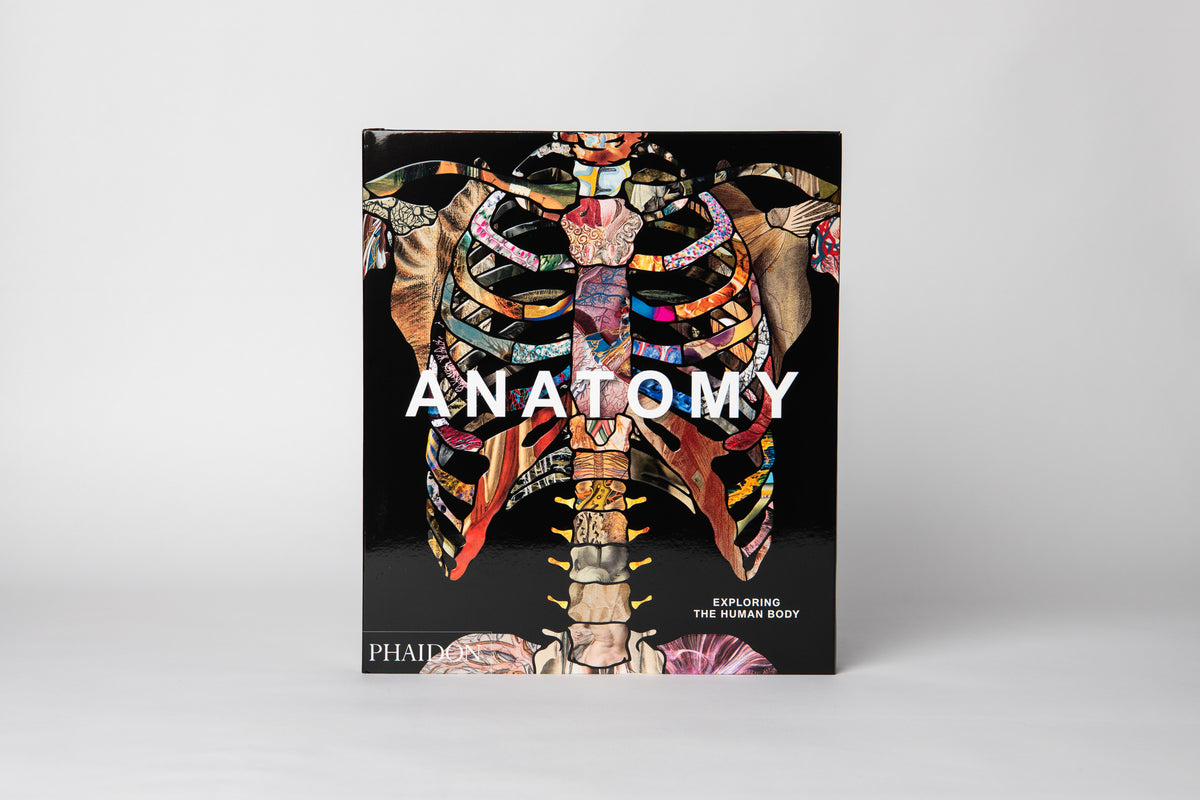 Anatomy: Exploring the Human Body – Thackray Museum of Medicine
