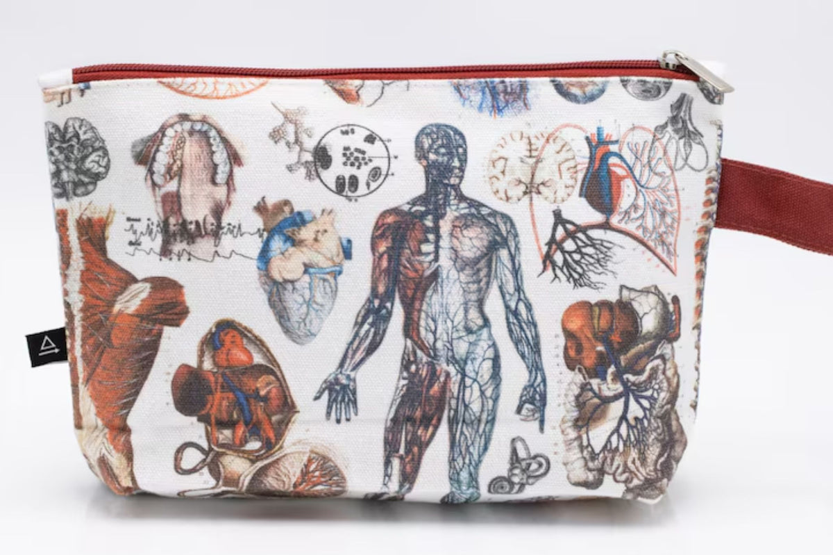 Anatomy Pouch – Thackray Museum of Medicine