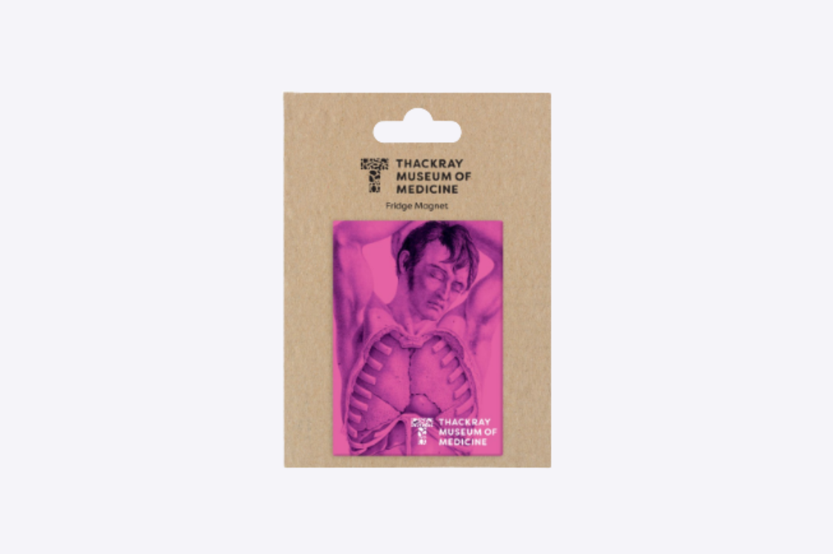 Thackray Anatomy Magnet – Thackray Museum of Medicine
