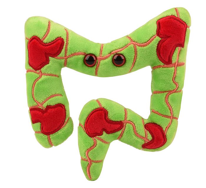 Crohn's & Colitis – Thackray Museum of Medicine