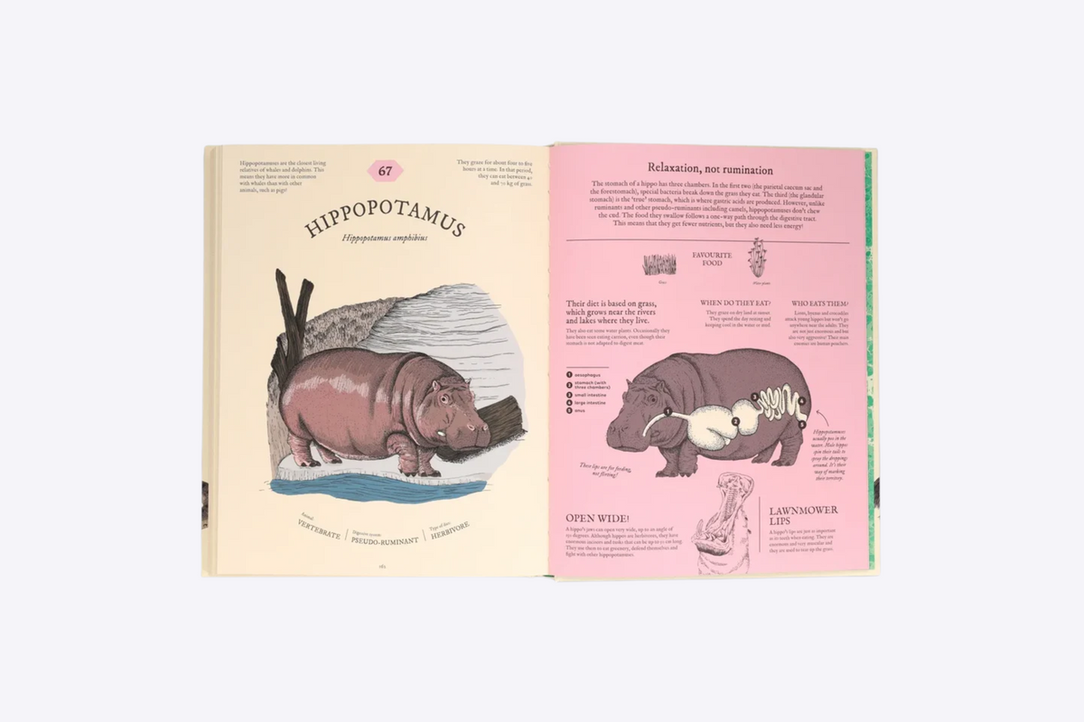 Eatopedia : An encyclopedia of how animals eat, digest and poo ...