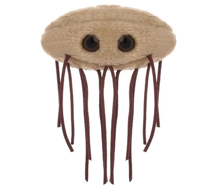 E.Coli Plush Toy – Thackray Museum of Medicine